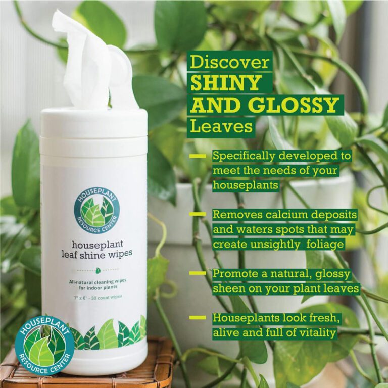 Houseplant Leaf Shine Wipes - Orchid Resource Center