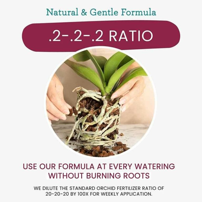 Premium Orchid Food - Orchid Resource Center