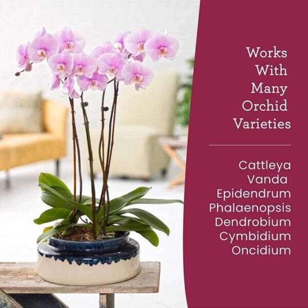 Premium Orchid Food - Orchid Resource Center